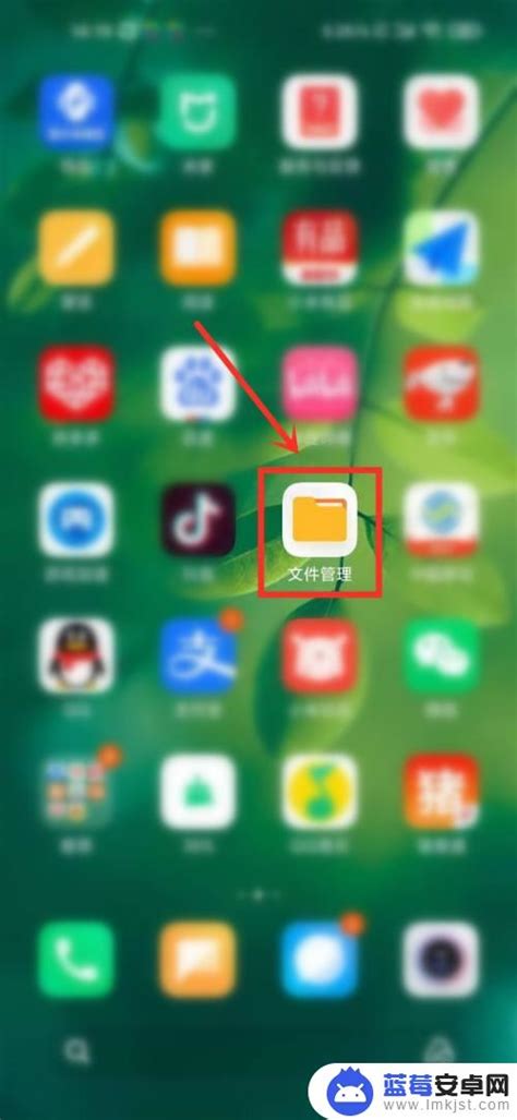 小米手机相册在哪个文件夹里 小米手机相册文件夹路径 蓝莓安卓网