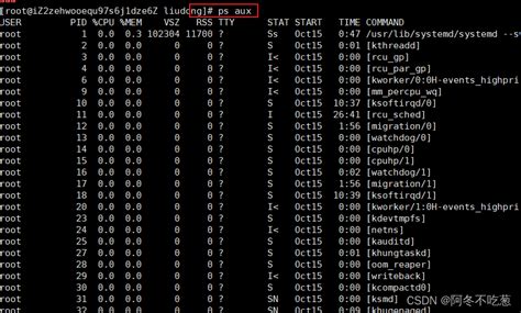 【linux】linux基础命令xshell Echo 命令 Csdn博客