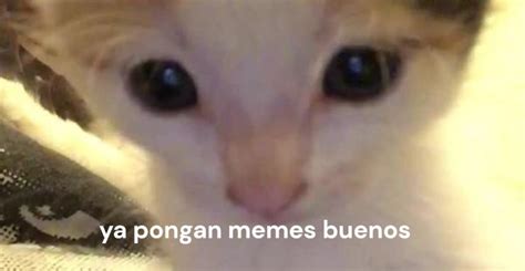 Mucha Memierda En últimos Memes Tengan Originalidad Por Lo Menos