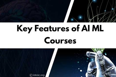 Key Features Of Ai Ml Courses Iabac