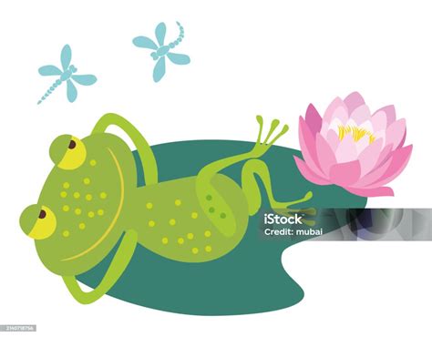 개구리 만화 녹색 쾌활 한 잎 핑크 수련 여름 연못 비행 잠자리 흰색 절연 벡터 일러스트 레이 션에 누워 개구리에 대한 스톡 벡터 아트 및 기타 이미지 Istock