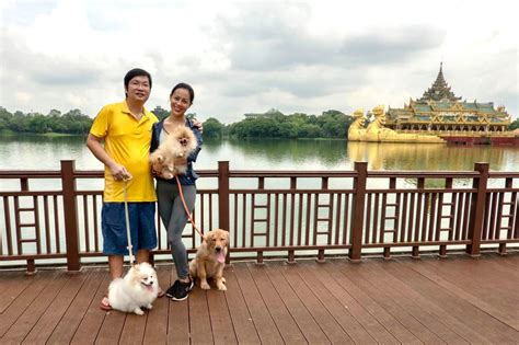 သူမကိုယ်တိုင် နေ့ရောညပါဂရုစိုက်ပေးလို့ ကိုဗစ်ပျောက်ကင်းလာတဲ့ချစ်ခင်ပွန