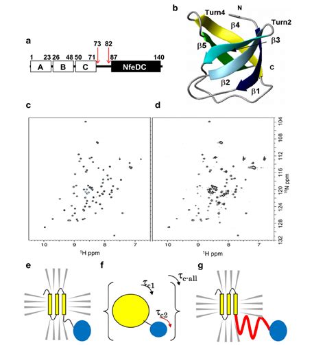 The Concept And Background For Evaluating Intrinsically Disordered Download Scientific Diagram