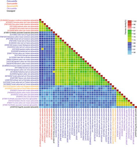 A ‘three Color Pairwise Identity Matrix Inferred Using Sdt V12 29