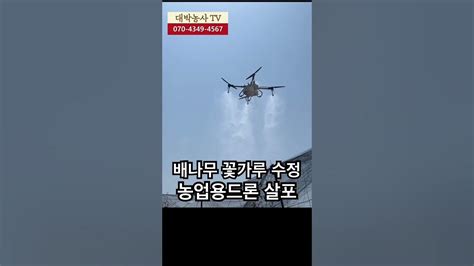 농업용드론 배나무 수정을 위해 꽃가루 살포 드론으로 합니다 방제드론 수정드론 수분수정 배나무수정 농업용드론활용 Afx40 Afi 화성시 Youtube