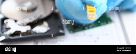 Engineer Hand Holding Patch Cord With RJ Connector Stock Photo Alamy