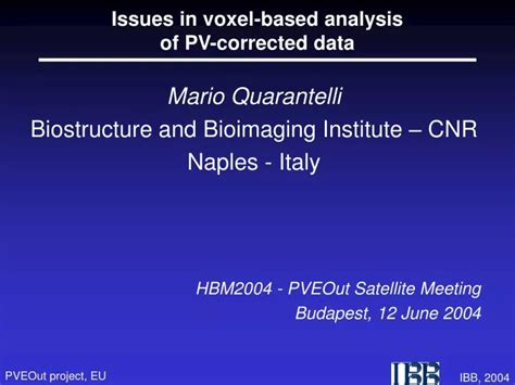 Ppt Issues In Voxel Based Analysis Of Pv Corrected Data Powerpoint