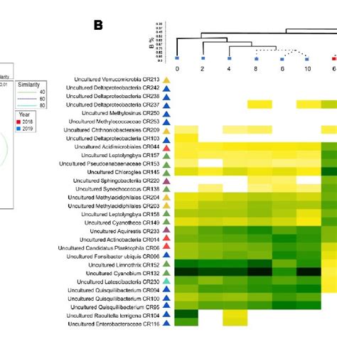 A Non Metric Multidimensional Scaling Nmds Of Bacterial Community