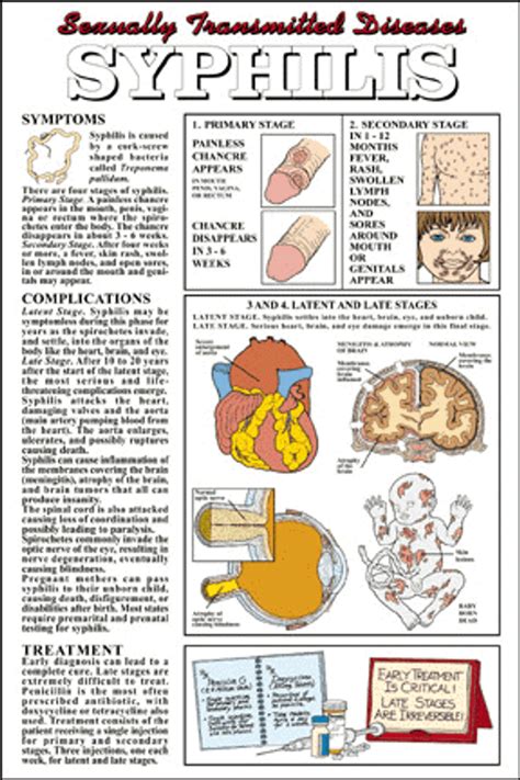 Syphilis System Disorder Template