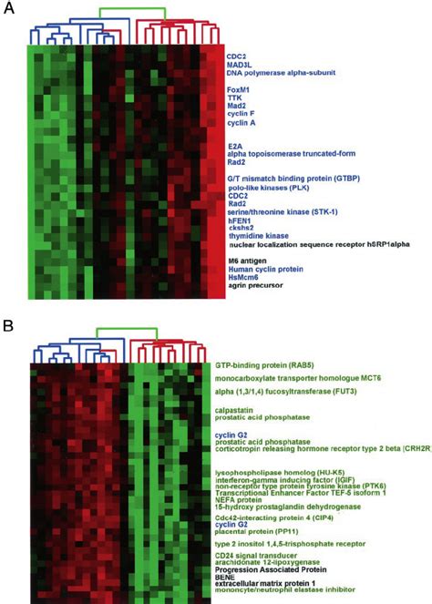 Hierarchical Clustering Of 24 Specimens Composed Of 12 Pairs Of Cancer