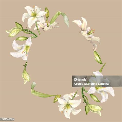 꽃 화환 파스텔 컬러 식물 예술 손으로 그린 벽 흰 백합은 분홍색에 고립된 수채화입니다 릴리움과 잎이 있는 프레임 교회에서 청첩장 세례식 부활절 카드 디자인 0명에 대한