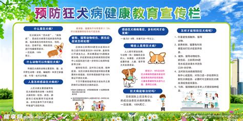 预防狂犬病健康教育宣传栏设计图 展板模板 广告设计 设计图库 昵图网