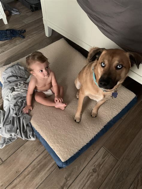 Lets Have Some Fun R Redditgetsdrawnbadly