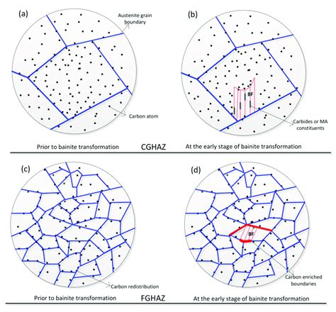 Carbon Redistribution In Super Cooled Austenite Before And After The