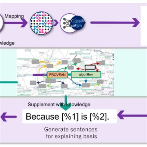 This Is An Overview Of Our Explainable AI Methodology Using The Download Scientific Diagram