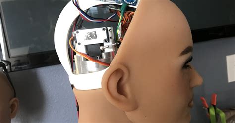 San Marcos Based Realdoll Launches Ai Sex Dolls Kpbs Public Media
