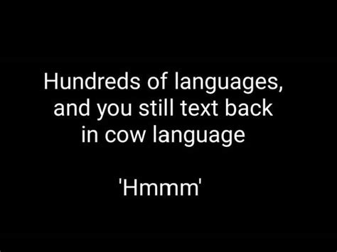 Funny Cow Language Text Back Meme