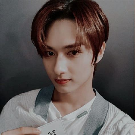 Moon Junhwi Aesthetic Icon