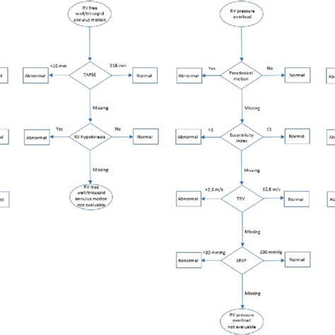 Algorithm For Echocardiographic Assessment Of Right Ventricular
