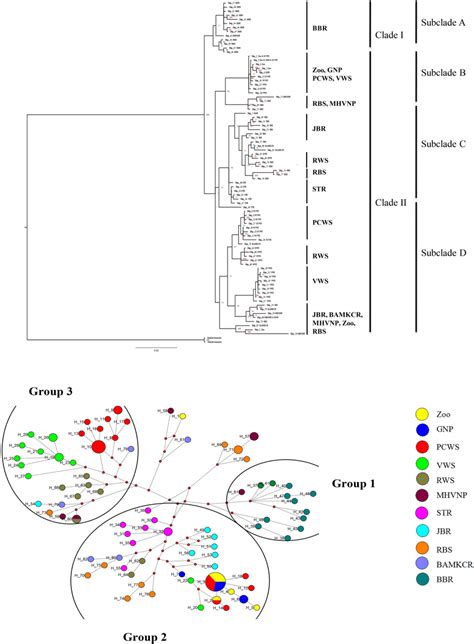 A Bayesian Phylogenetic Analysis Of The Combined Dataset 1465 Bp Of