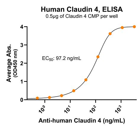 Human Claudin 4 Full Length Protein Displayed On Virus Like Particles