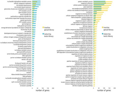 Enrichment Analysis Of Functional Ontology Terms Between Reciprocally Download Scientific