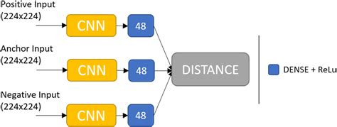 Diagram Of The Triplet Loss Network The Layers Used In The Cnn Blocks Download Scientific