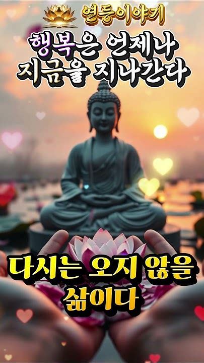 행복은 언제나 지금을 지나간다 명언 위로 부처님말씀 수면명상 치유음악 마음치유 명상 지혜 철학 Asmr 인생조언 좋은글 자기수행 마음공부 Youtube