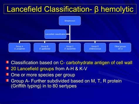 Ppt Streptococcus Powerpoint Presentation Free Download Id9520404
