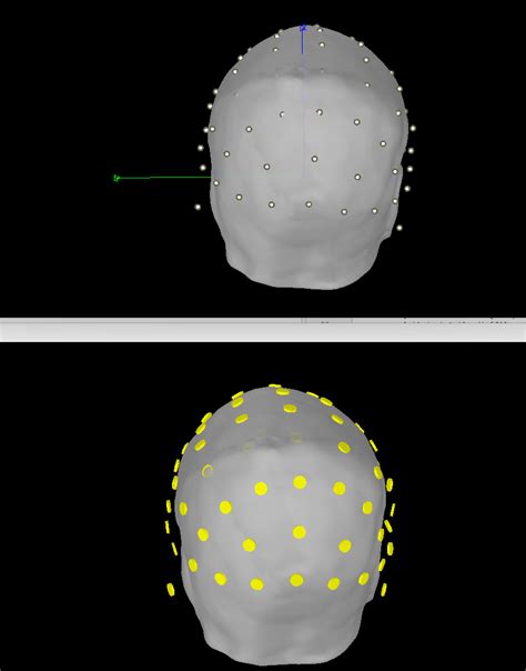 EEG Chan Locs For Source Analysis Discussions Brainstorm
