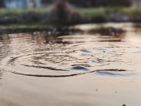 Premium Photo Close Up Of Wet Puddle