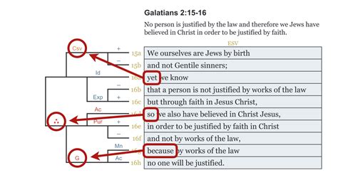 Lesson 1 What Is Bracketing Aim Of This Course