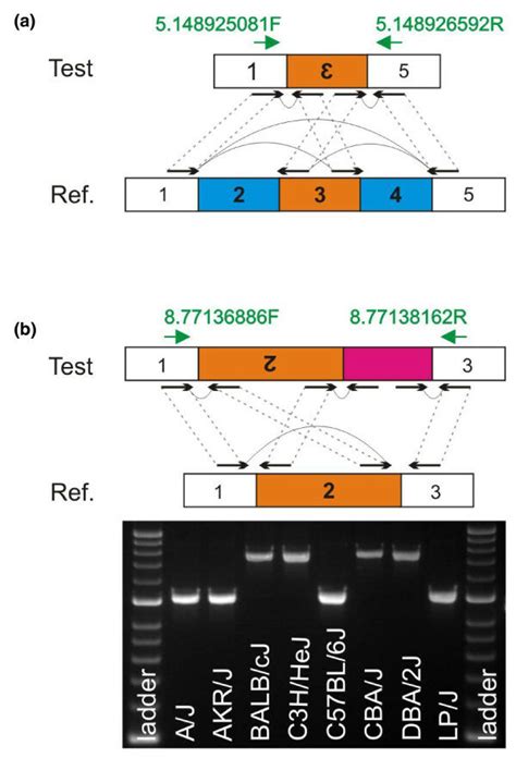 Novel PEM Patterns A PEM Pattern Of A Del S Inv H We Draw Download Scientific Diagram