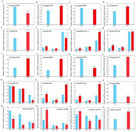 Qrt Pcr Validation Of Mirnas And Target Gene Expression Levels At Download Scientific Diagram