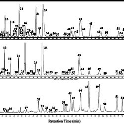 Chromatogram Of HPLC TOF MS For Phenolic Compounds In Tea Leaves A Total Ion Chromatography