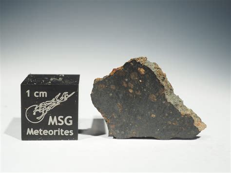 1 Gram Nwa 11265 Carbonaceous Chondrite Cv3 Part Slice Msg Meteorites