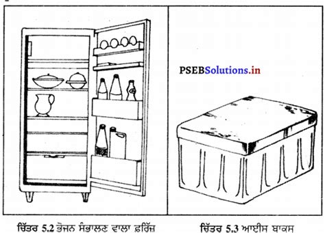 pseb 8th class home science solutions chapter 5 ਭੋਜਨ ਦੇ ਖਰਾਬ ਹੋਣ ਦੇ