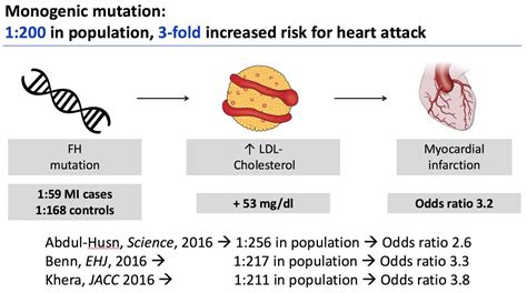 Exams And Me Polygenic Score
