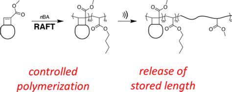 通过raft聚合合成高力学含量，缓解应力的共聚物macromolecules X Mol