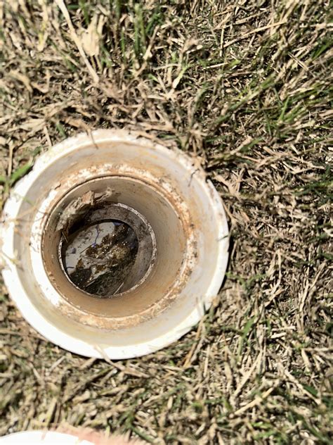 Pvc Sewer Cleanout Cap Rplumbing