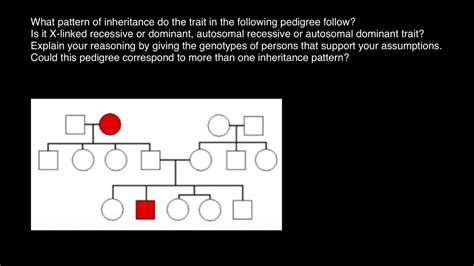 A Pedigree Chart Is A Diagram That Shows The Occurrence And Appearance