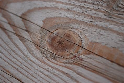 무료 이미지 자연 비행 목재 조직 바닥 트렁크 흙 재목 닫다 항아리 조각 매크로 사진 합판 3872x2592 987635 무료 이미지