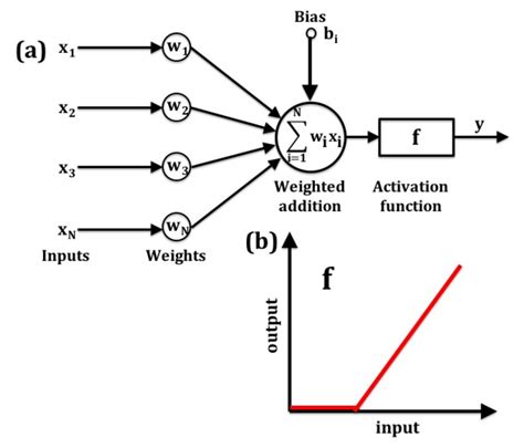 A Abstract Representation Of An Artificial Neuron With The Weighted