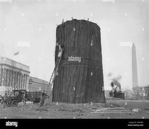 Circumference Of A Sequoia Tree Hi Res Stock Photography And Images Alamy