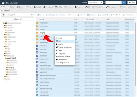how to create a wordpress staging site with cpanel ironbark marketing