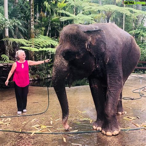 İpek Bilgin Instagram Gethu Cinema