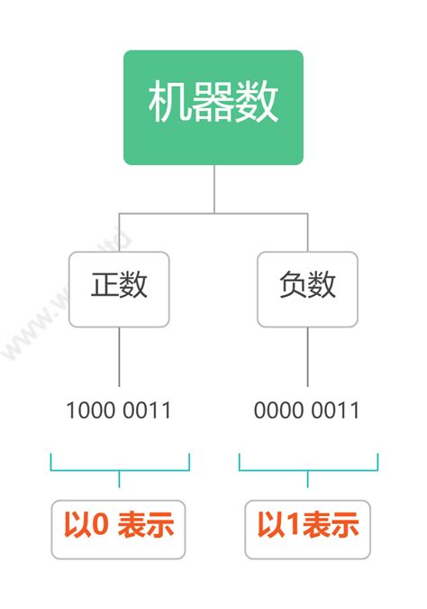 解码二进制：初学者理解指南二进制解码 Csdn博客