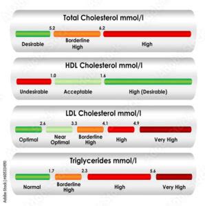 Cholesterol The Good The Bad And The Ugly Truth The Vitality Clinic