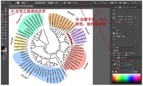 生信小工具 手把手教你从序列查找开始，绘制漂亮的进化树 微信文章 仪器谱