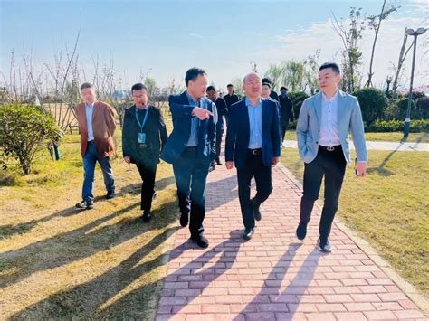 汪华东市长会见洪清华 携手共抓淮北文旅发展新机遇 景域新闻 景域国际旅游运营集团